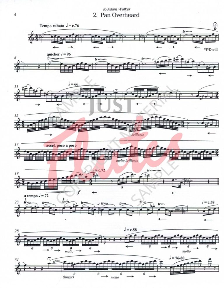 Exploring the new ABRSM 2018 Flute Syllabus: Grade 8 - Just Flutes Blog